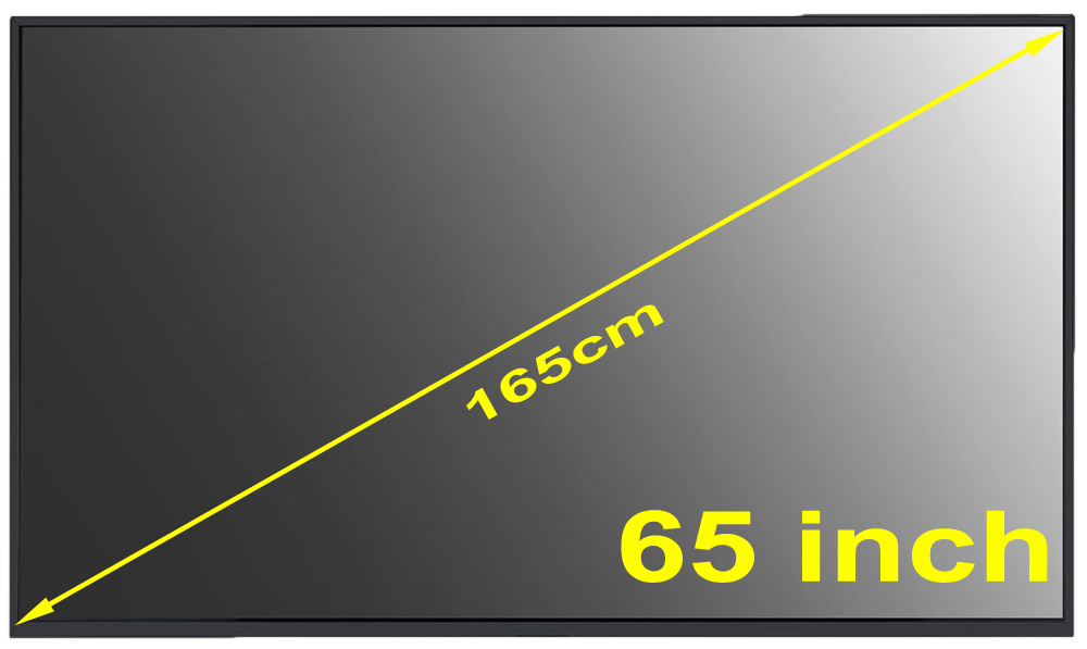 65 inch LED Display - TX3